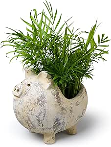 Amazon.com: Abbott Terracotta Pig Garden Planter