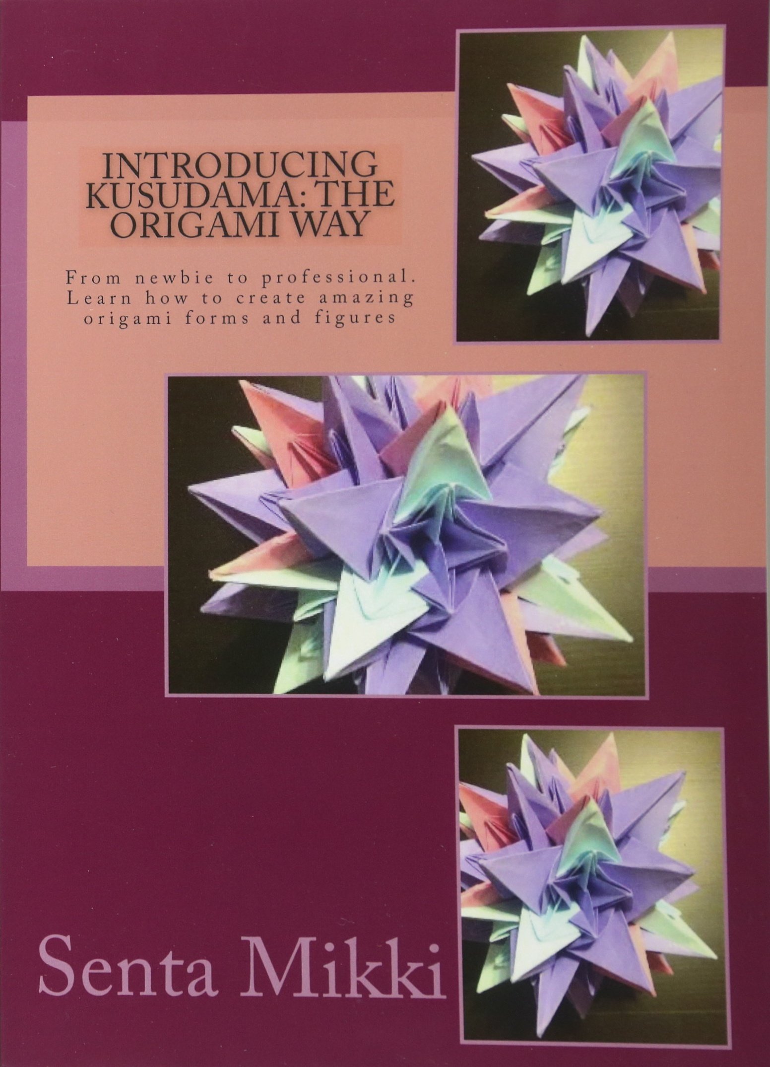 Buy Introducing Kusudama: the Origami Way: From newbie to professional ...