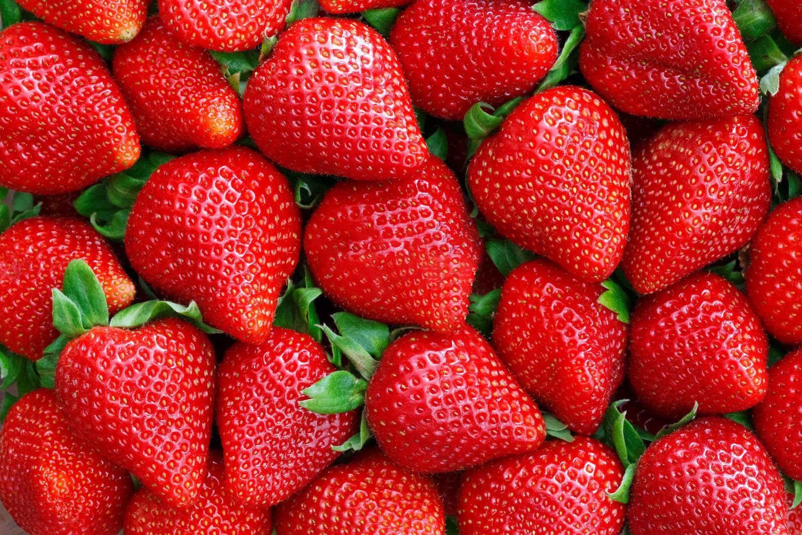 Amazon.com : Red Strawberry Seeds for Planting, Non-GMO Heirloom, Sweet ...