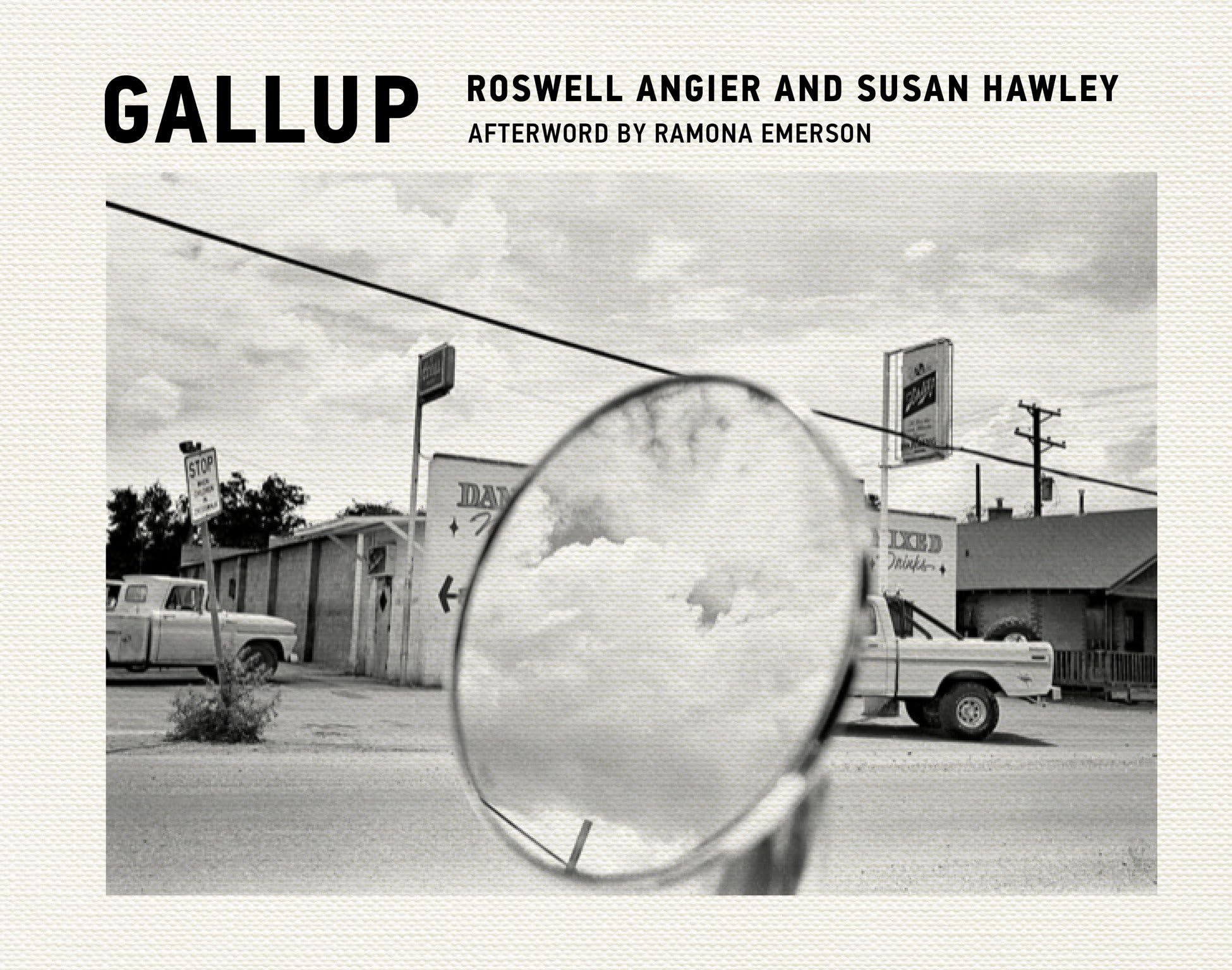 Gallup: Angier, Roswell, Hawley, Susan, Emerson, Ramona: 9780262047715 ...