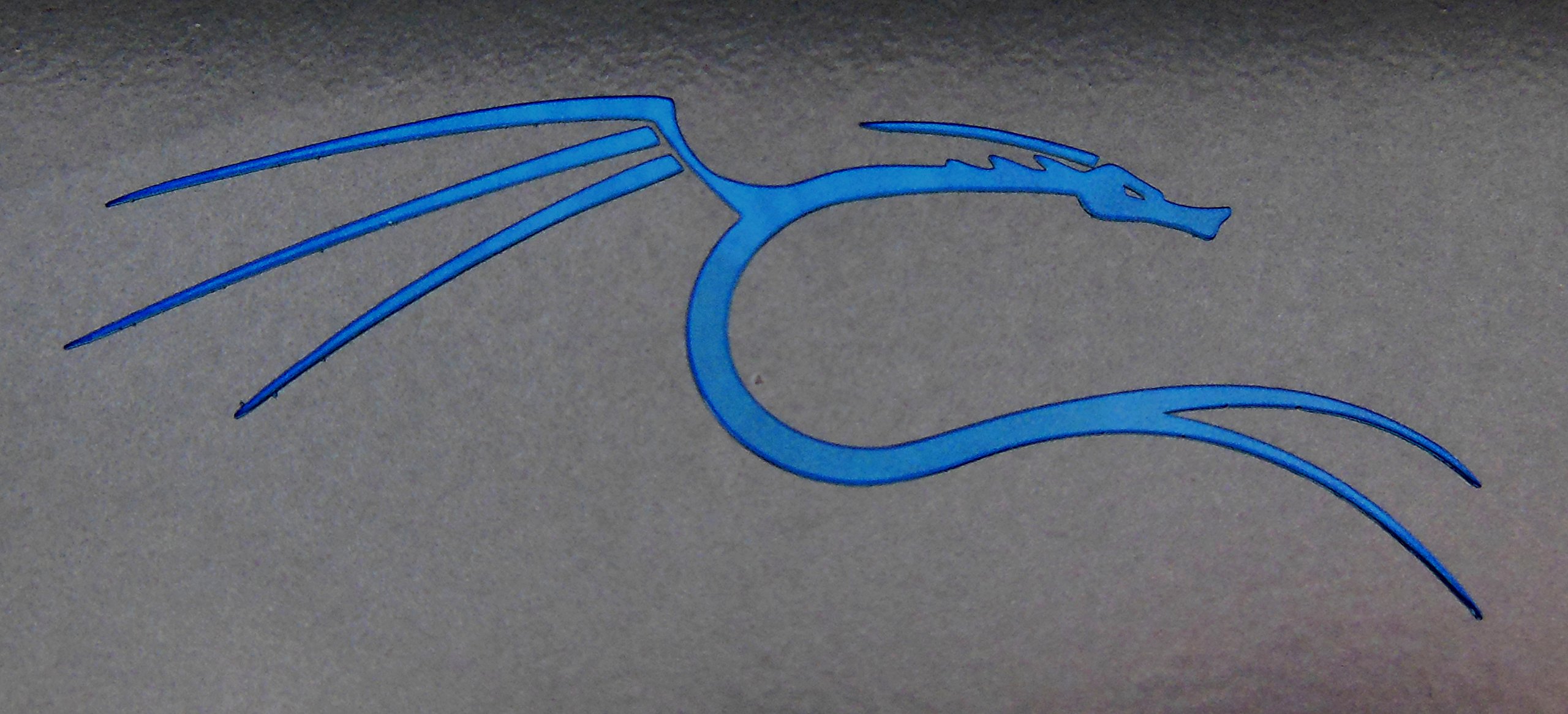 Kali Linux Dragon ArtStation Kali Linux Dragon Logo