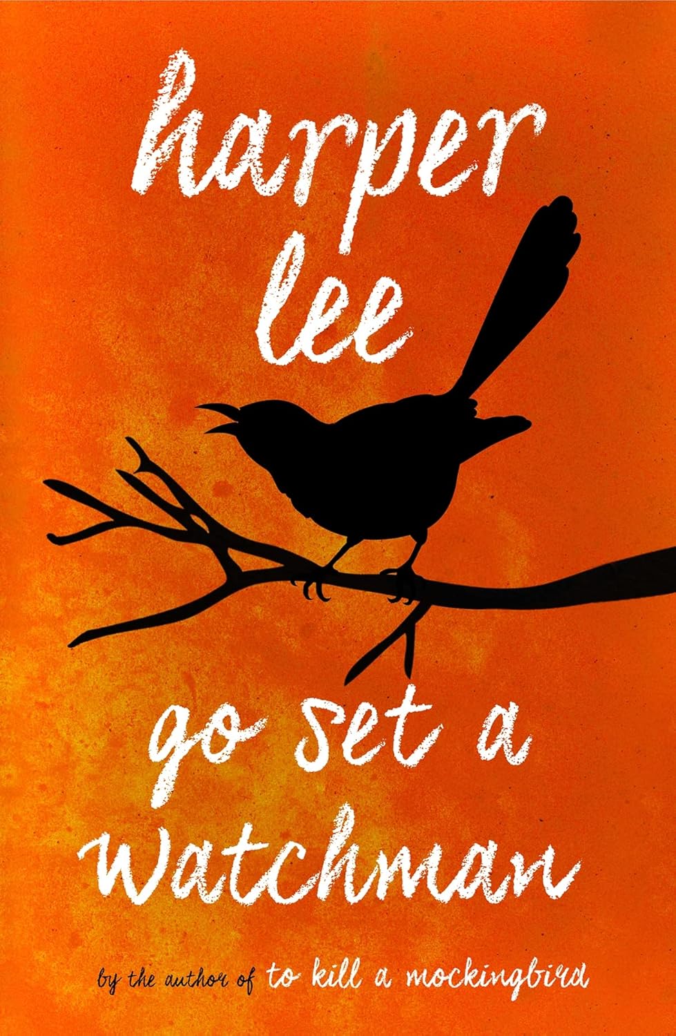 Go Set a Watchman: Harper Lee: 9781785150296: Amazon.com: Books