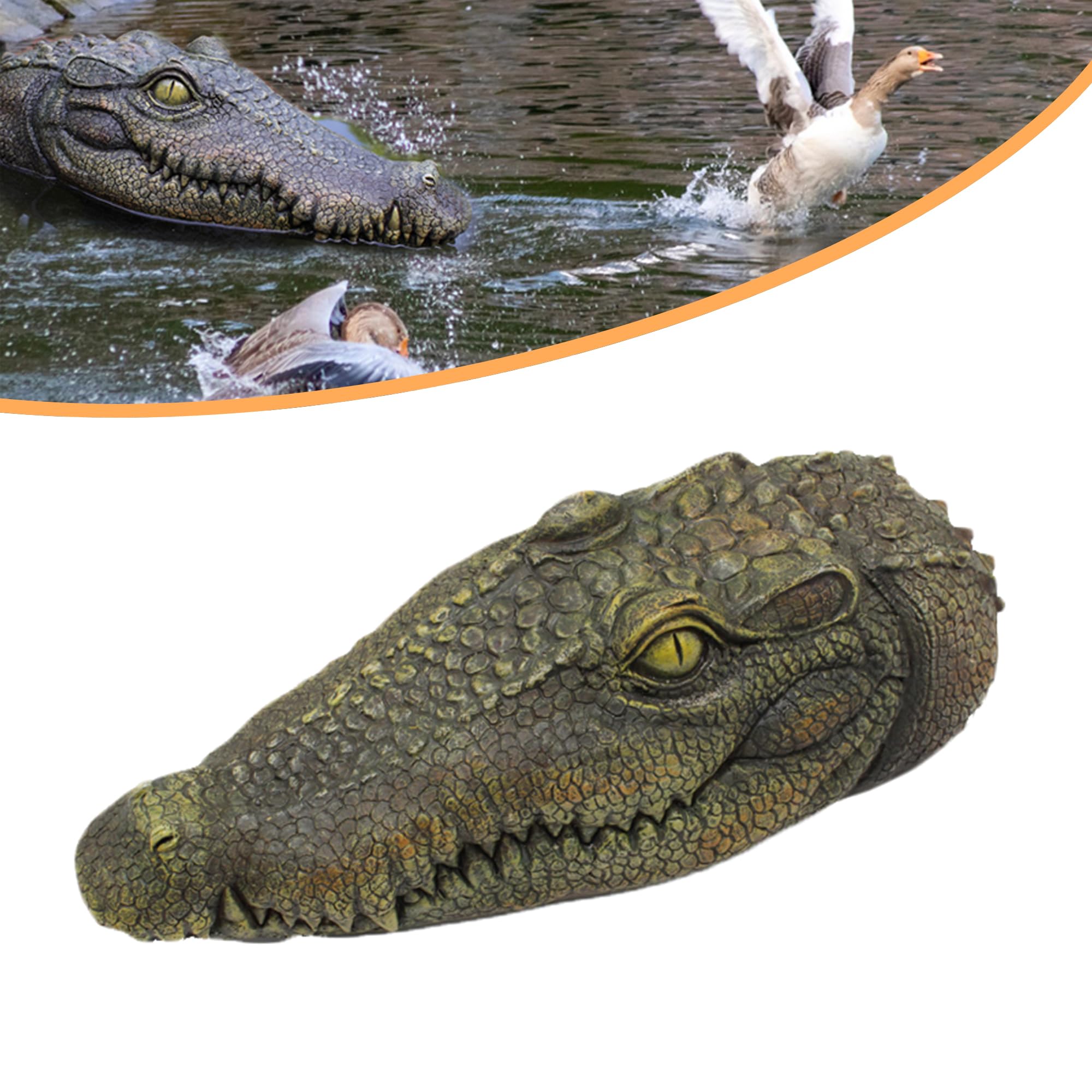 Amazon.com: Colomix Alligator Pool Float, Crocodile Head Ornament ...