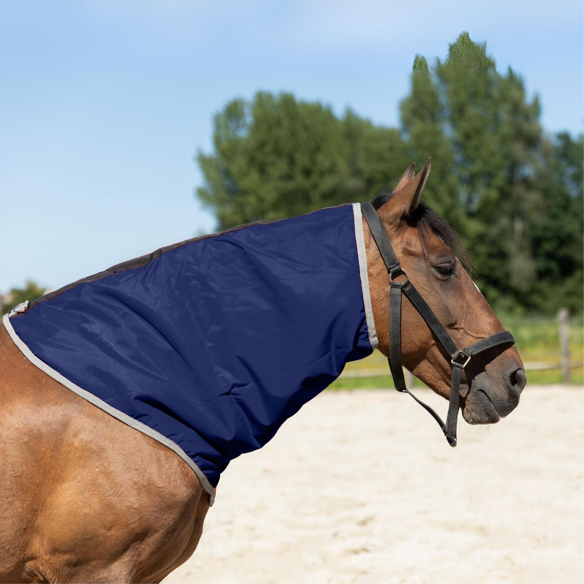 Snapklik.com : Resistance Lightweight Breathable Horse Sleazy Slickers ...