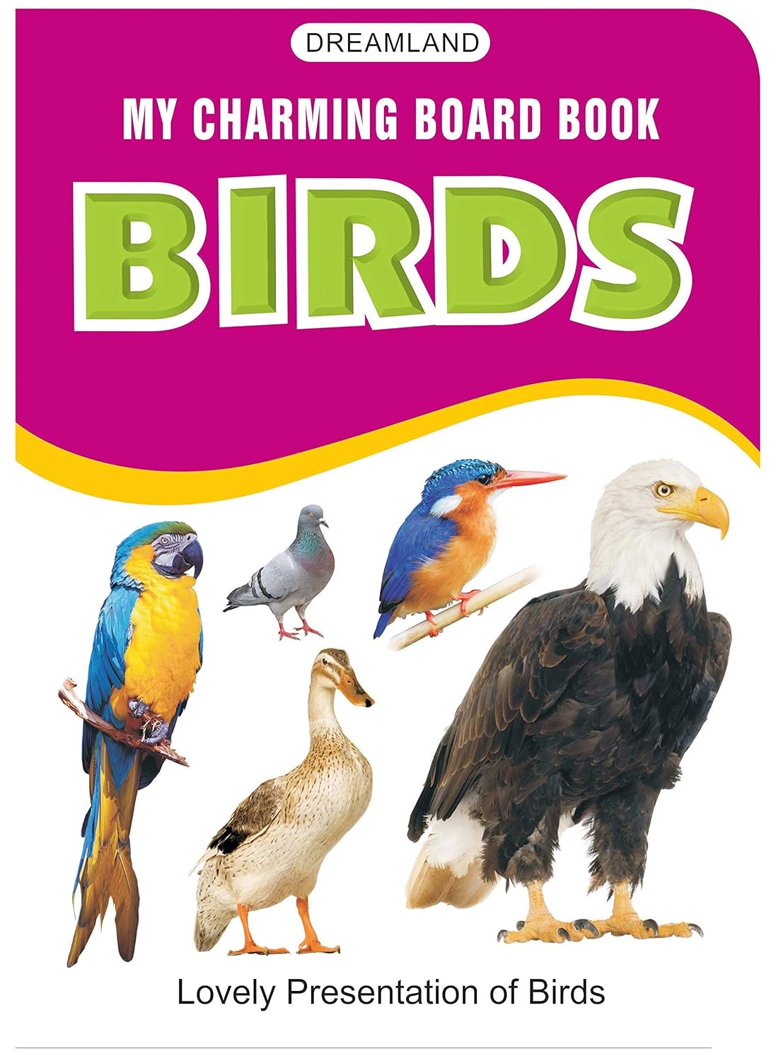 Amazon | Birds | Children's Books