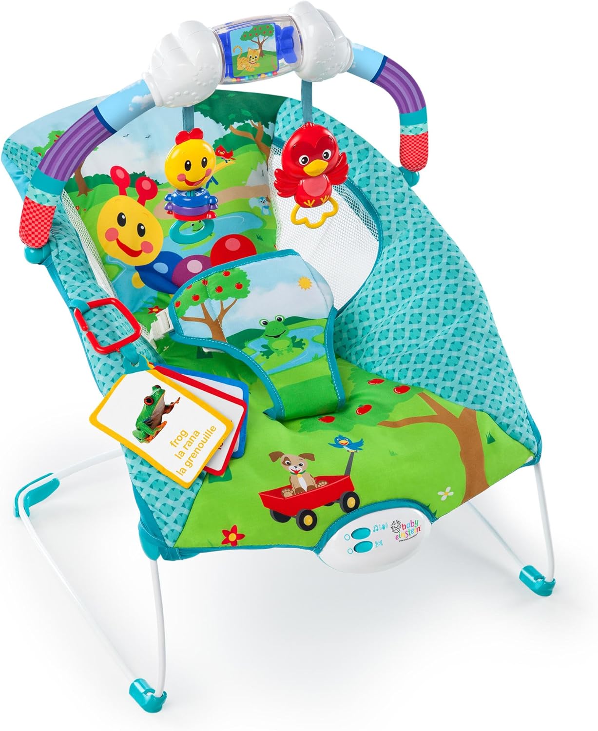 Baby Einstein Bouncer : Amazon.com.mx: Bebé