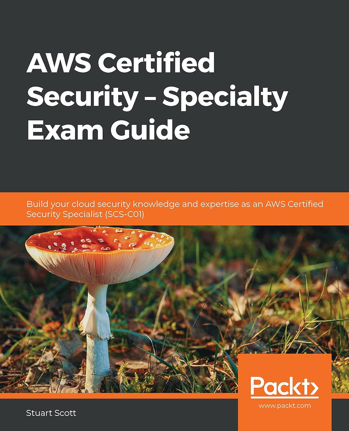 Amazon.com: AWS Certified Security – Specialty Exam Guide: Build your ...