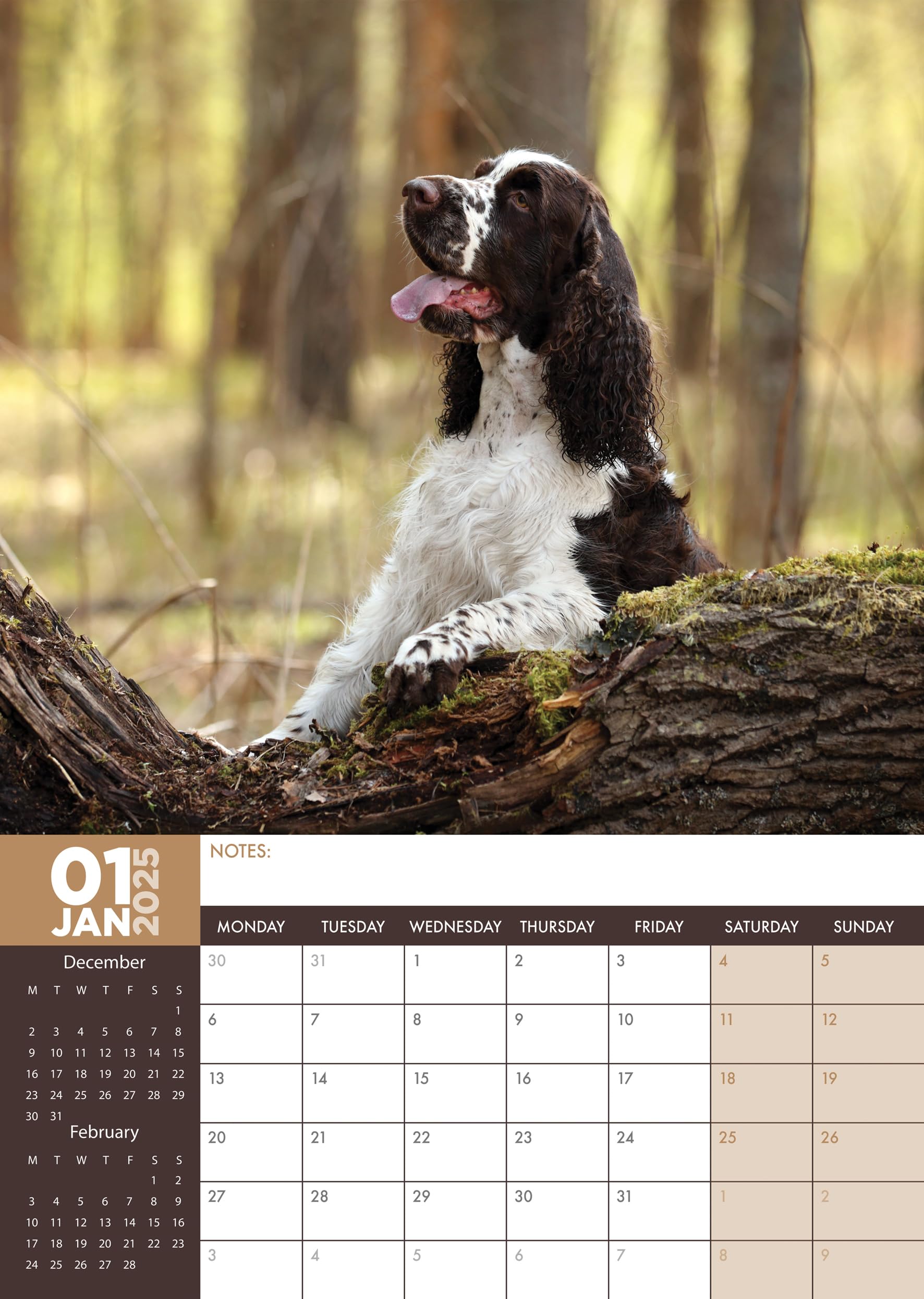 English Springer Spaniel 2025 – A3 Size Wirobound Calendar – BigaMart