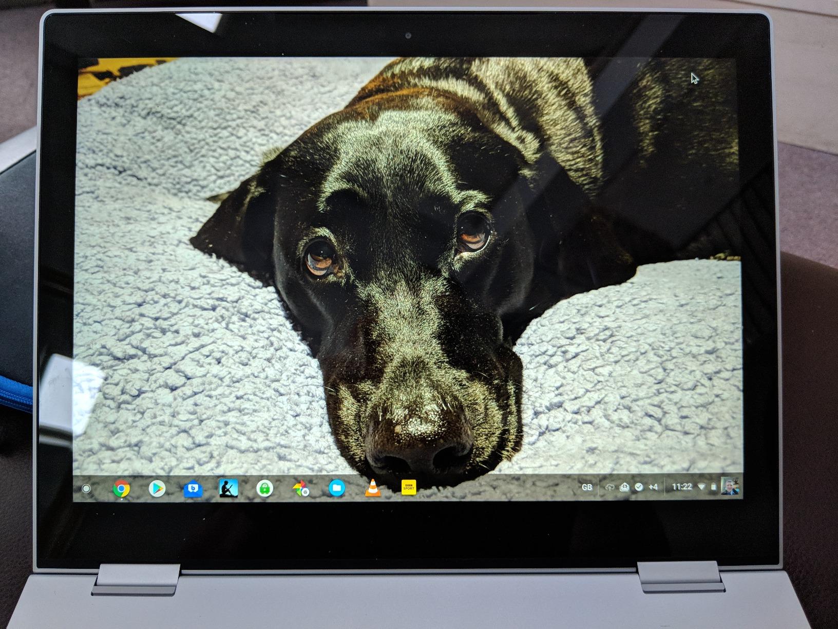 Amazon.com: Google Pixelbook (i7, 16 GB RAM, 512 GB) : Electronics