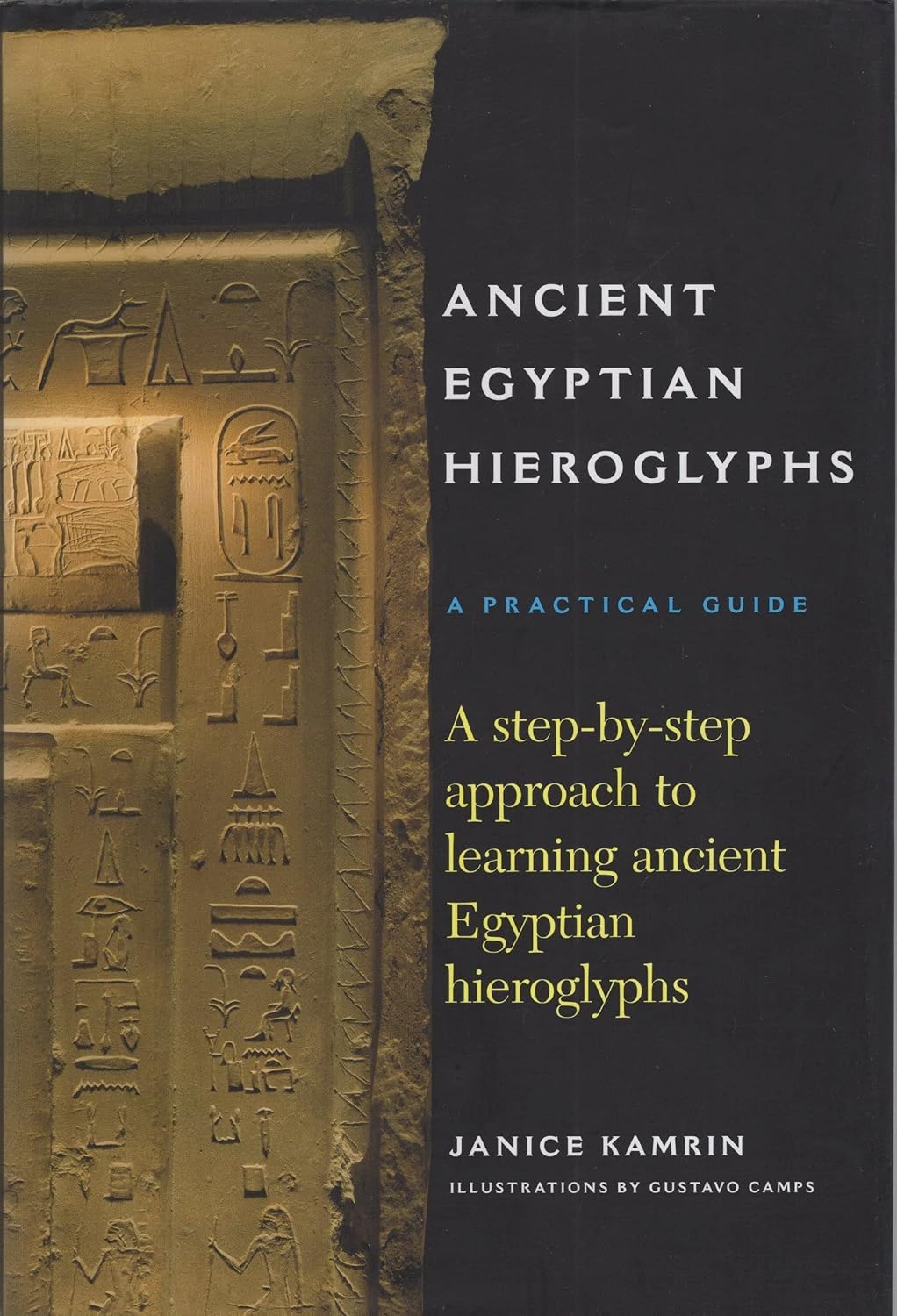 Amazon.com: Ancient Egyptian Hieroglyphs: A Practical Guide - A Step-by ...