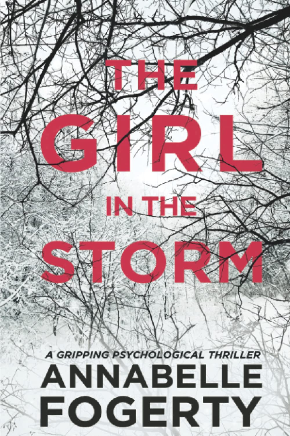 Amazon.com: The Girl In The Storm: 9798352489697: Fogerty, Annabelle: Books