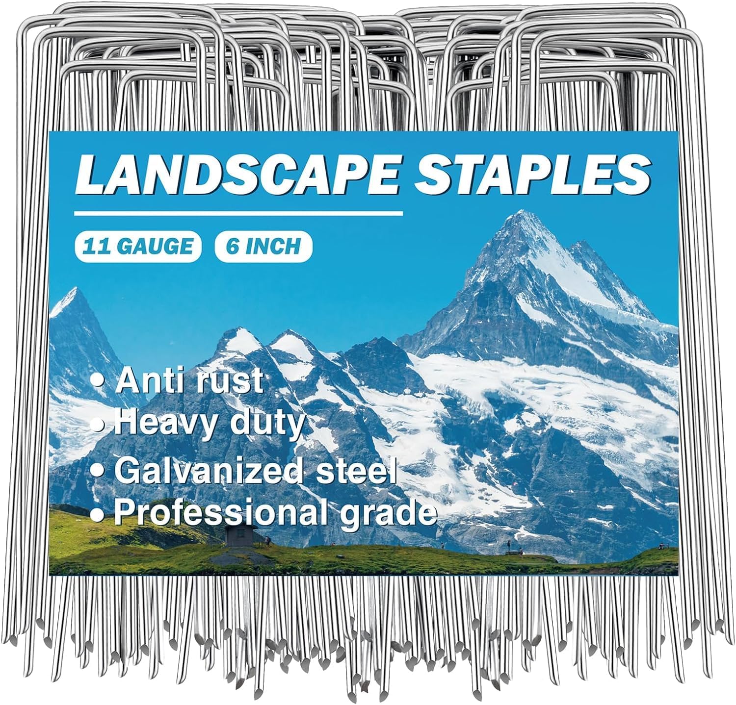 Amazon.com : 200 Pack Landscape Staples 6 Inch 11Gauge Stakes, Heavy ...