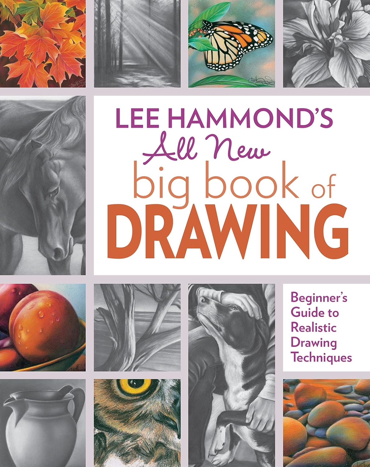 Lee Hammond's All New Big Book of Drawing: Beginner's Guide to ...