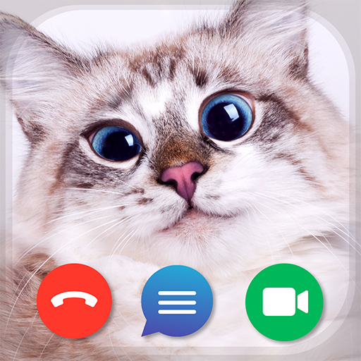 Fake Call: Cat - App on Amazon Appstore