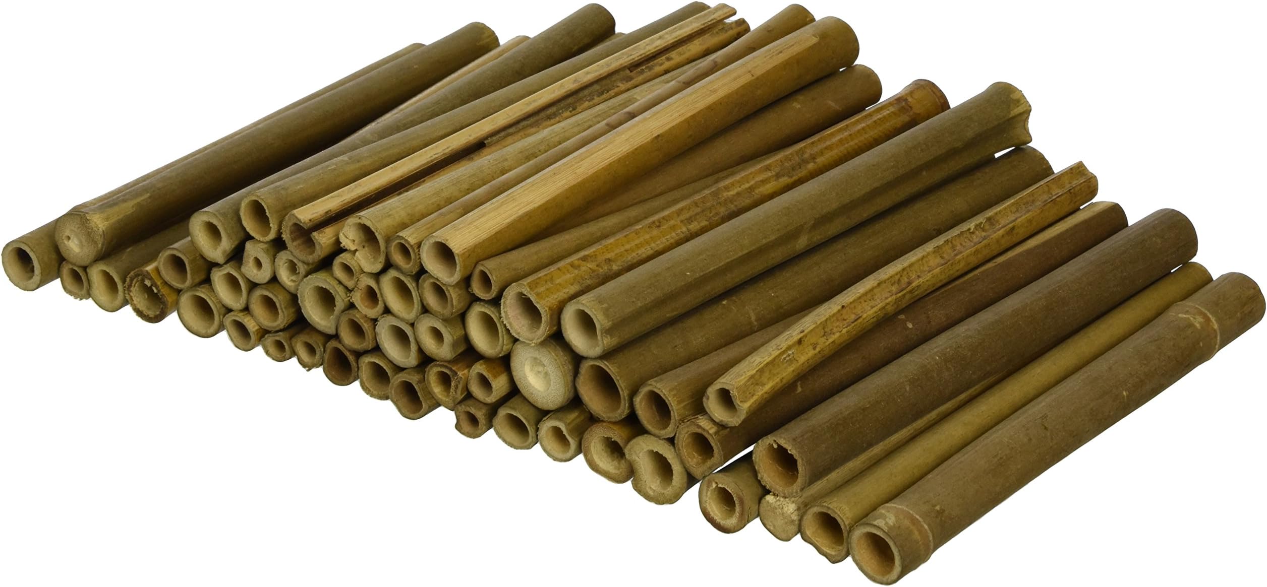 Wildlife World Solitary Bee Tubes Wooden (Pack of 50) BTW1 : Amazon.co ...