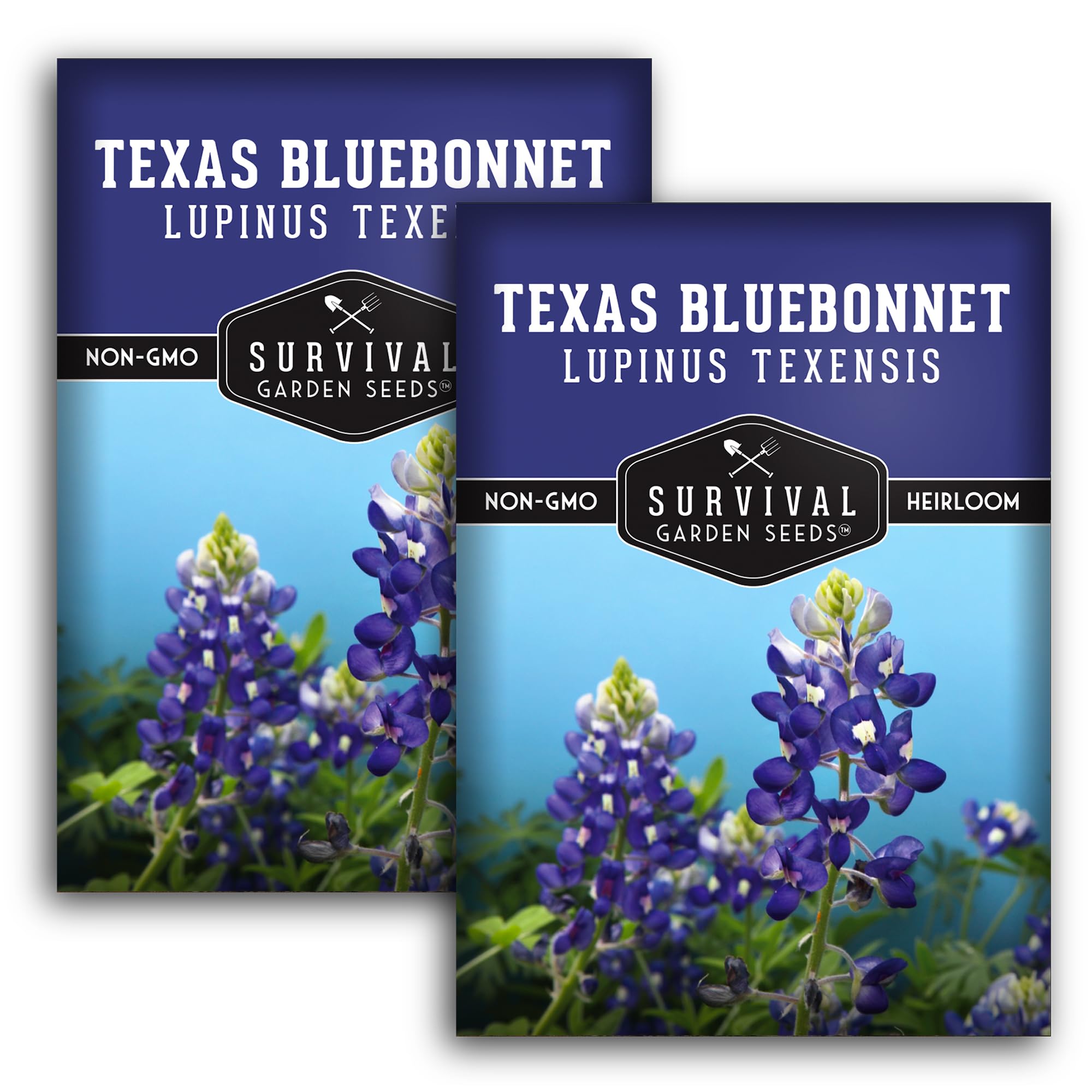 Amazon.com : Texas Bluebonnet Seed for Planting - 2 Packets with ...