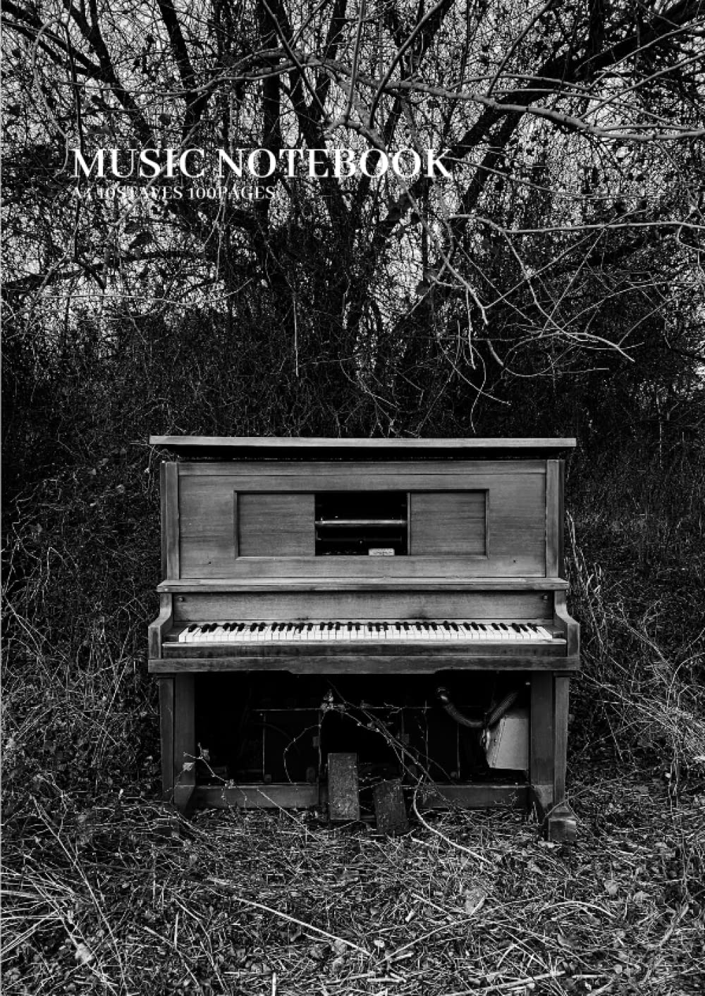 Amazon | MUSIC NOTEBOOK 音楽ノート 5線譜: A4サイズ 無地 5線譜 10段 100ページ ピアノアートフォト表紙 ...