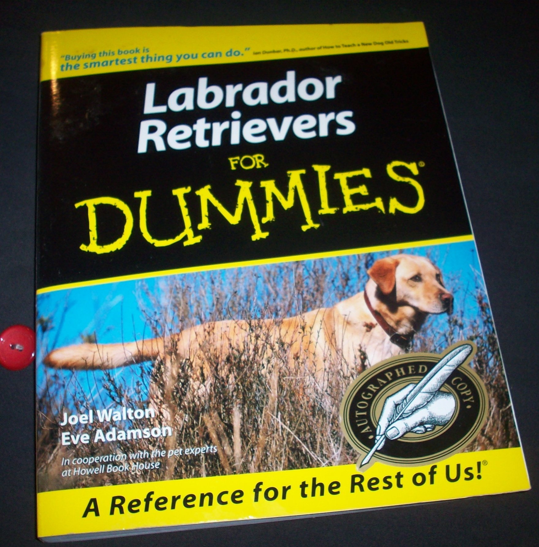 Labrador Retrievers for Dummies: Walton, Joel, Adamson, Eve ...