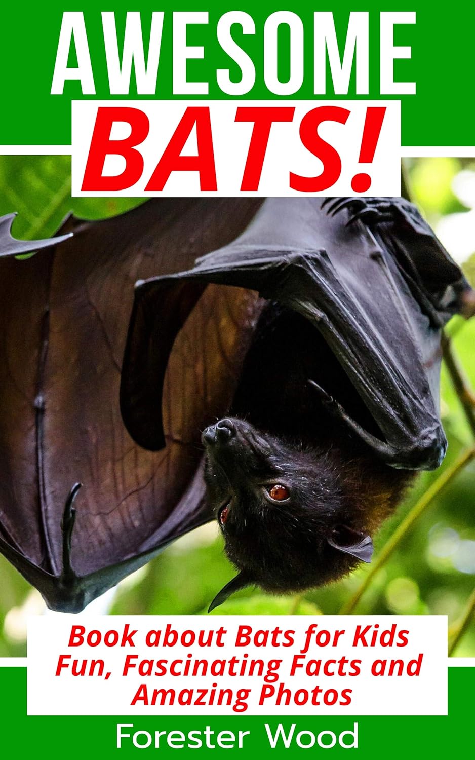 Amazon.com: Awesome Bats: Book About Bats for Kids: Fun, Fascinating ...