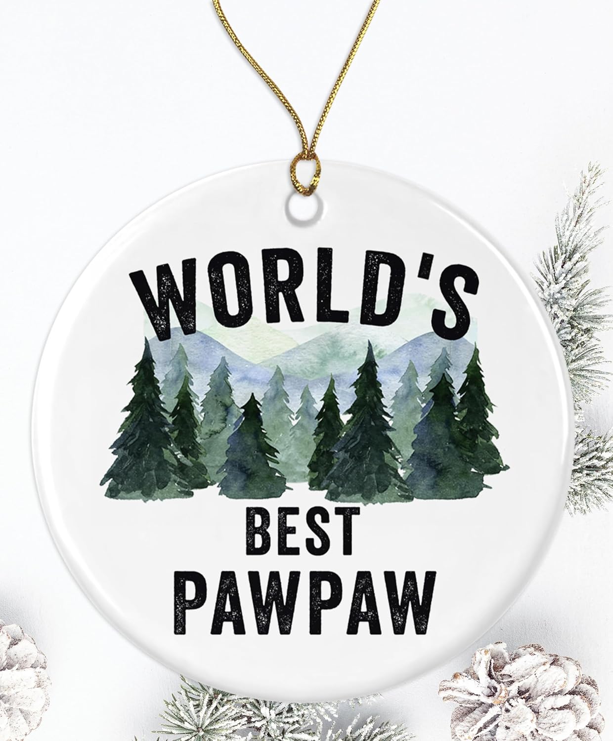 Amazon.com: World's Best Pawpaw Ornament - Christmas Ornament 2023 Gift ...