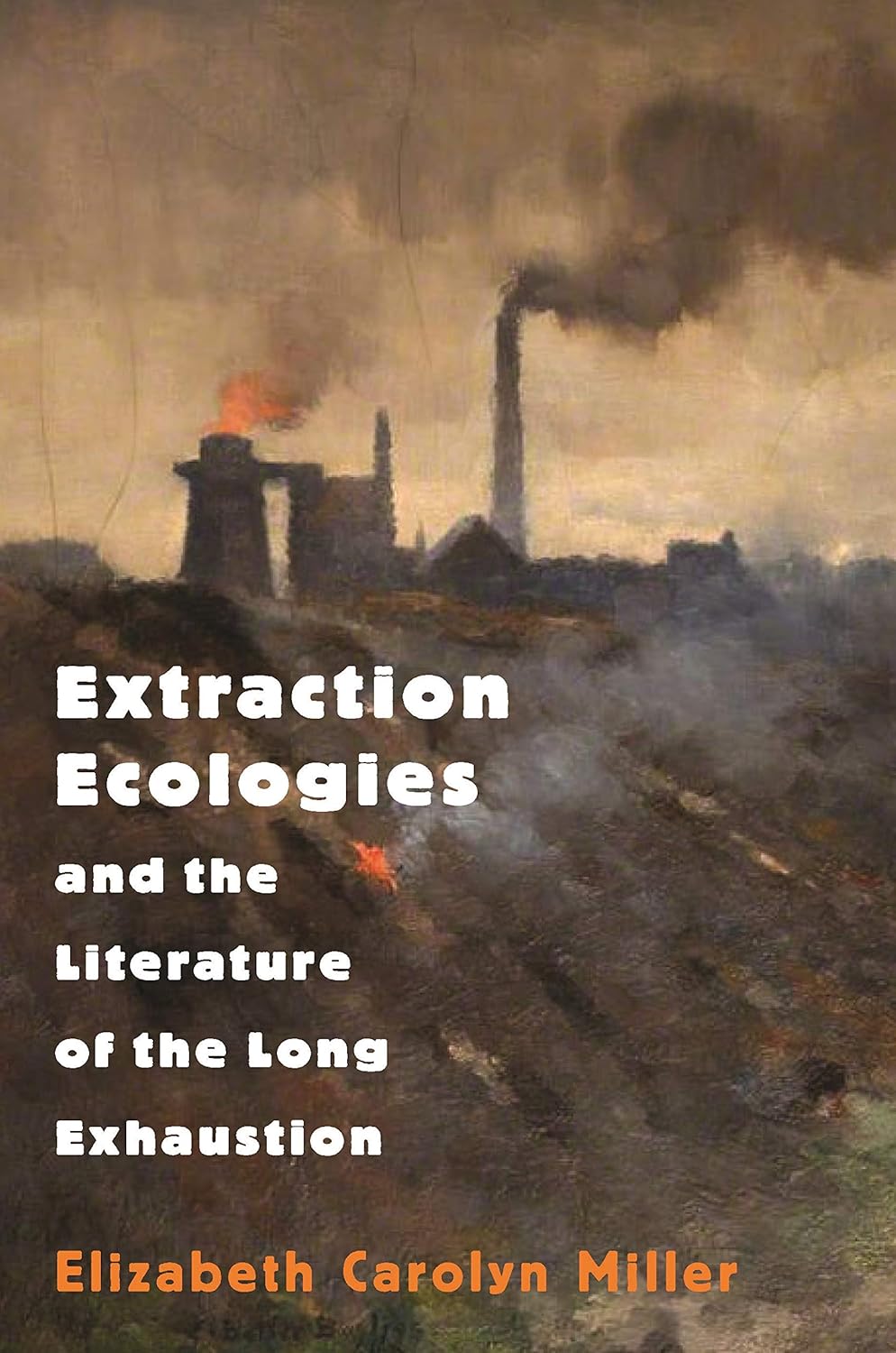 Amazon.com: Extraction Ecologies and the Literature of the Long ...
