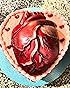 Amazon.com: Ahorasky Heart Silicone Mold - 3D Realistic Heart Jelly ...