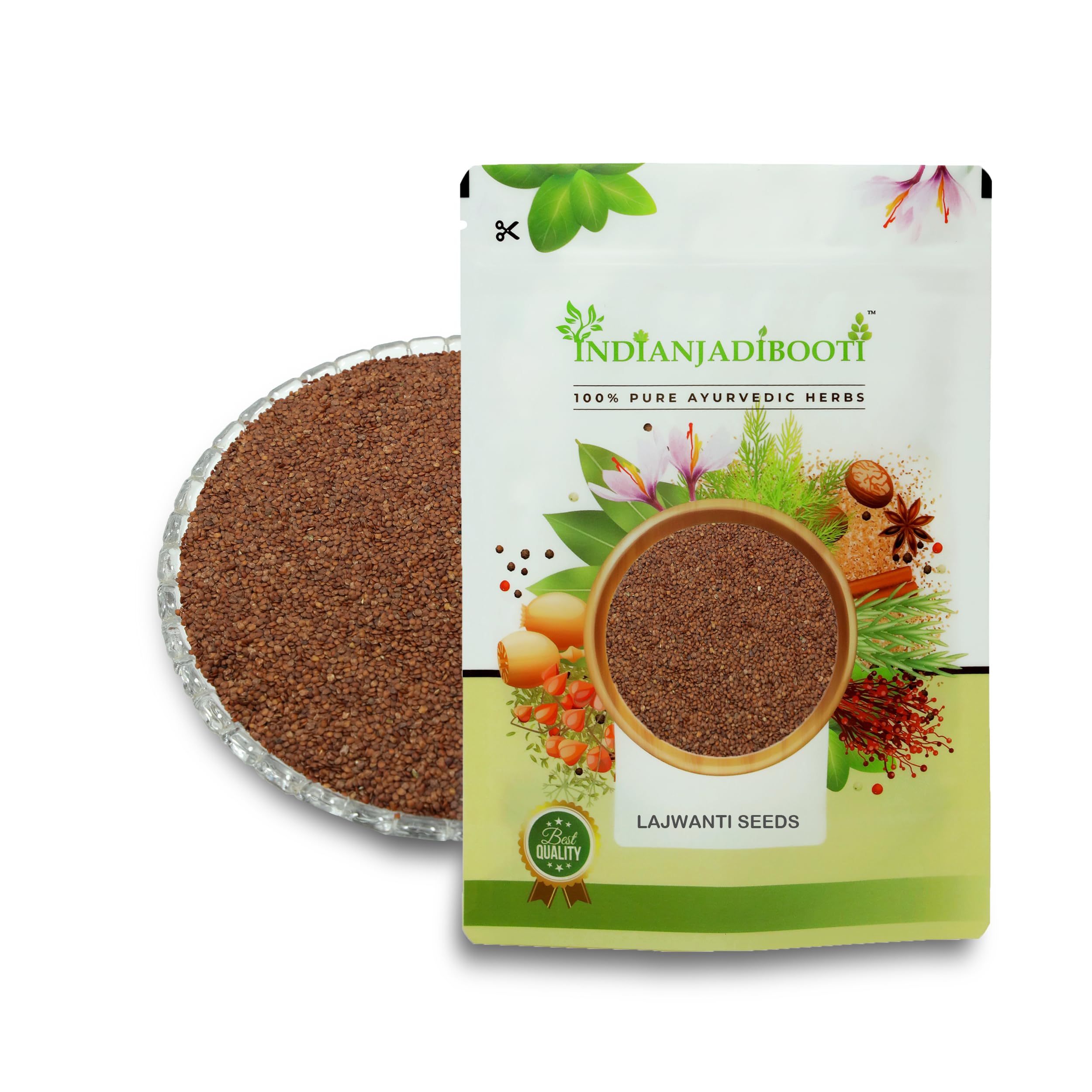 Buy IndianJadiBooti Lajwanti Seeds - Lajvanti Beej - Chui Mui - Mimosa ...