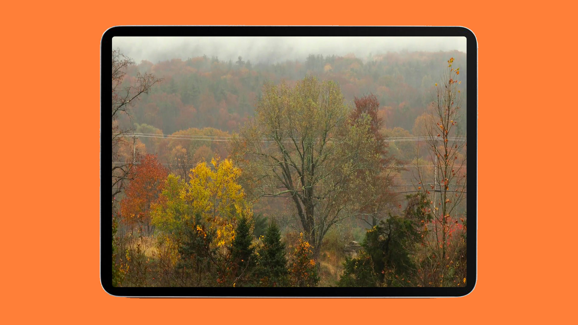 Rainy Fall Screensaver – Soothing Autumn Video and Sound for Calm ...