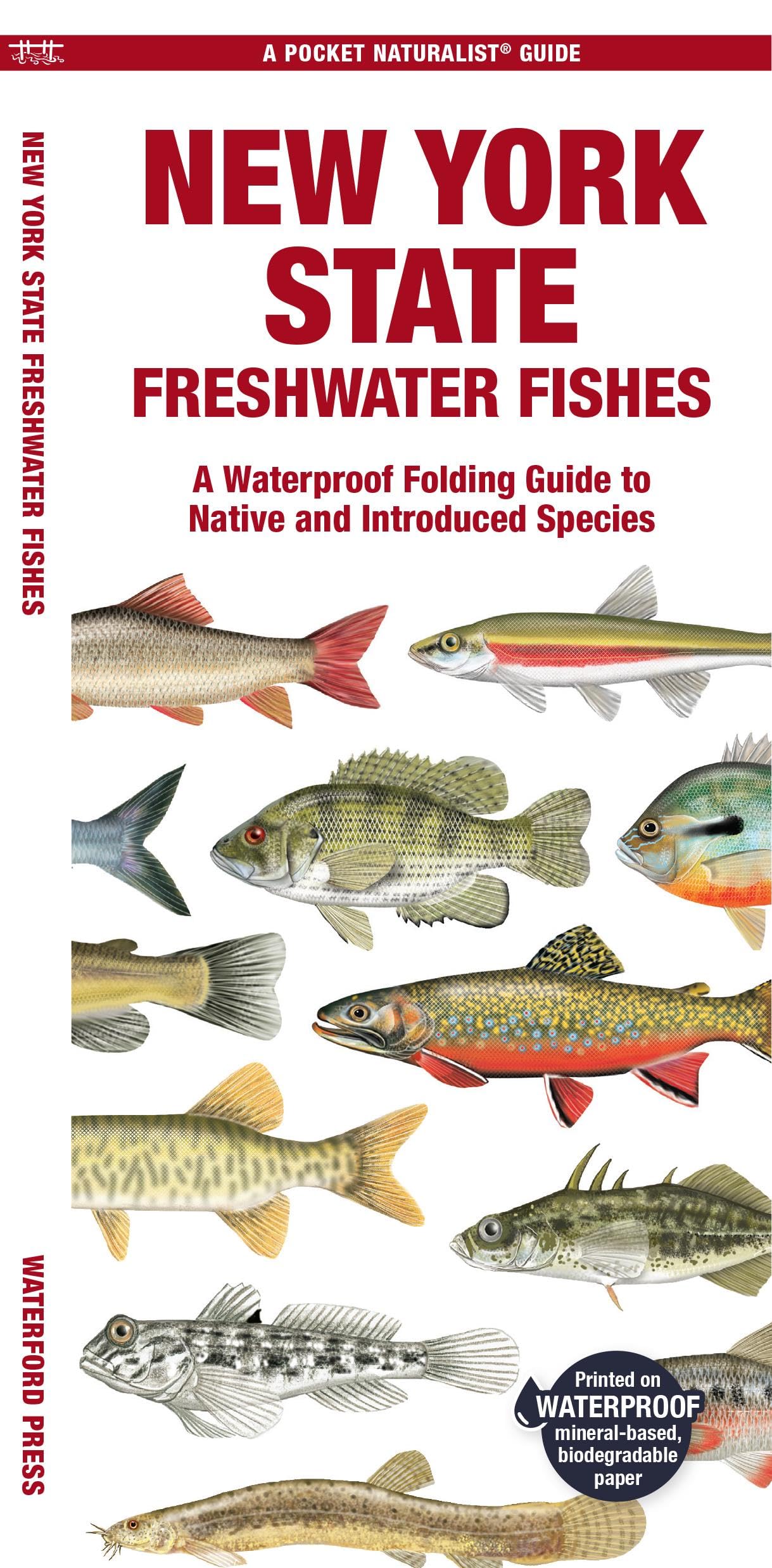 Freshwater Fish Chart Freshwater & Brackish Fish Compatibility Chart