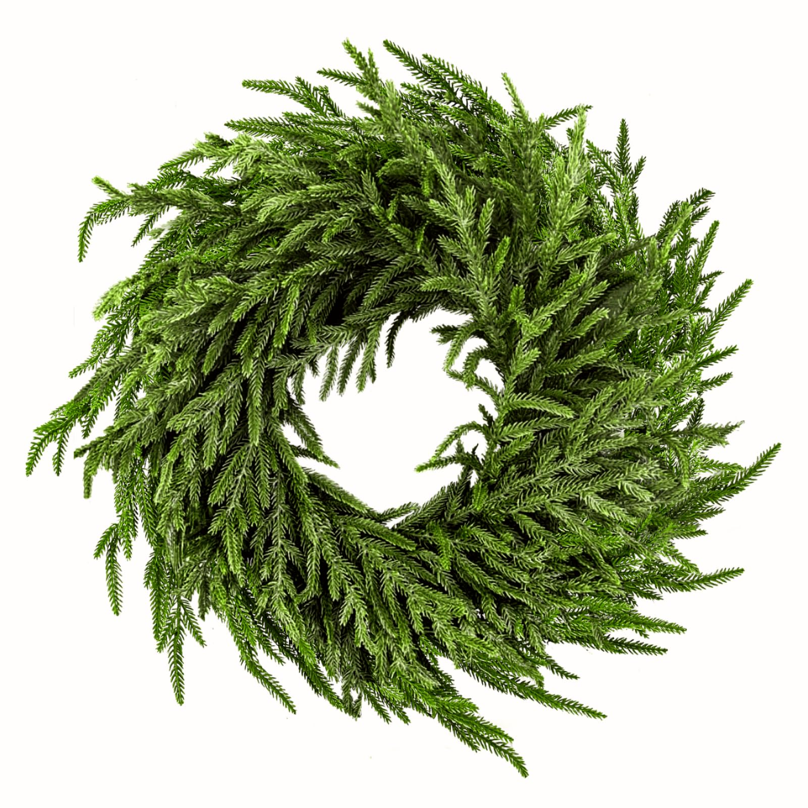 ENVEN 24" Norfolk Pine Wreath for Front Door, Real Touch Norfolk Pine ...