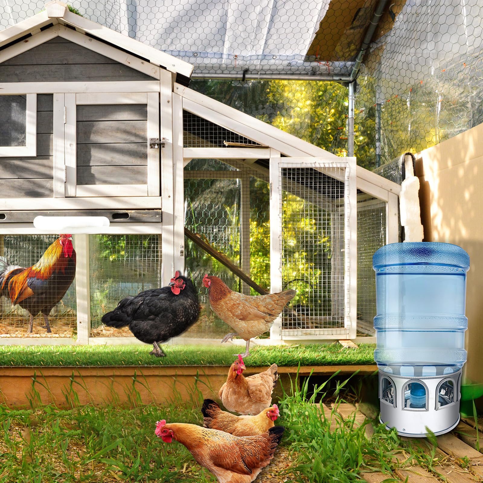 Electric Waterer For Chickens Premier 1 All Season Heated Poultry