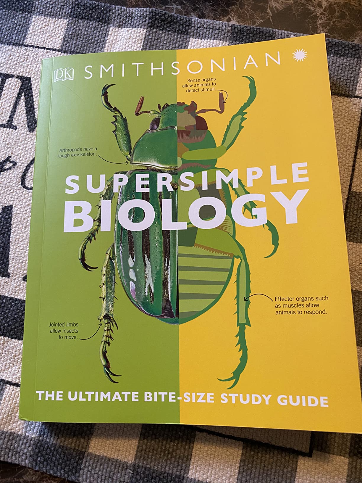 Amazon.com: Super Simple Biology: The Ultimate Bitesize Study Guide (DK ...
