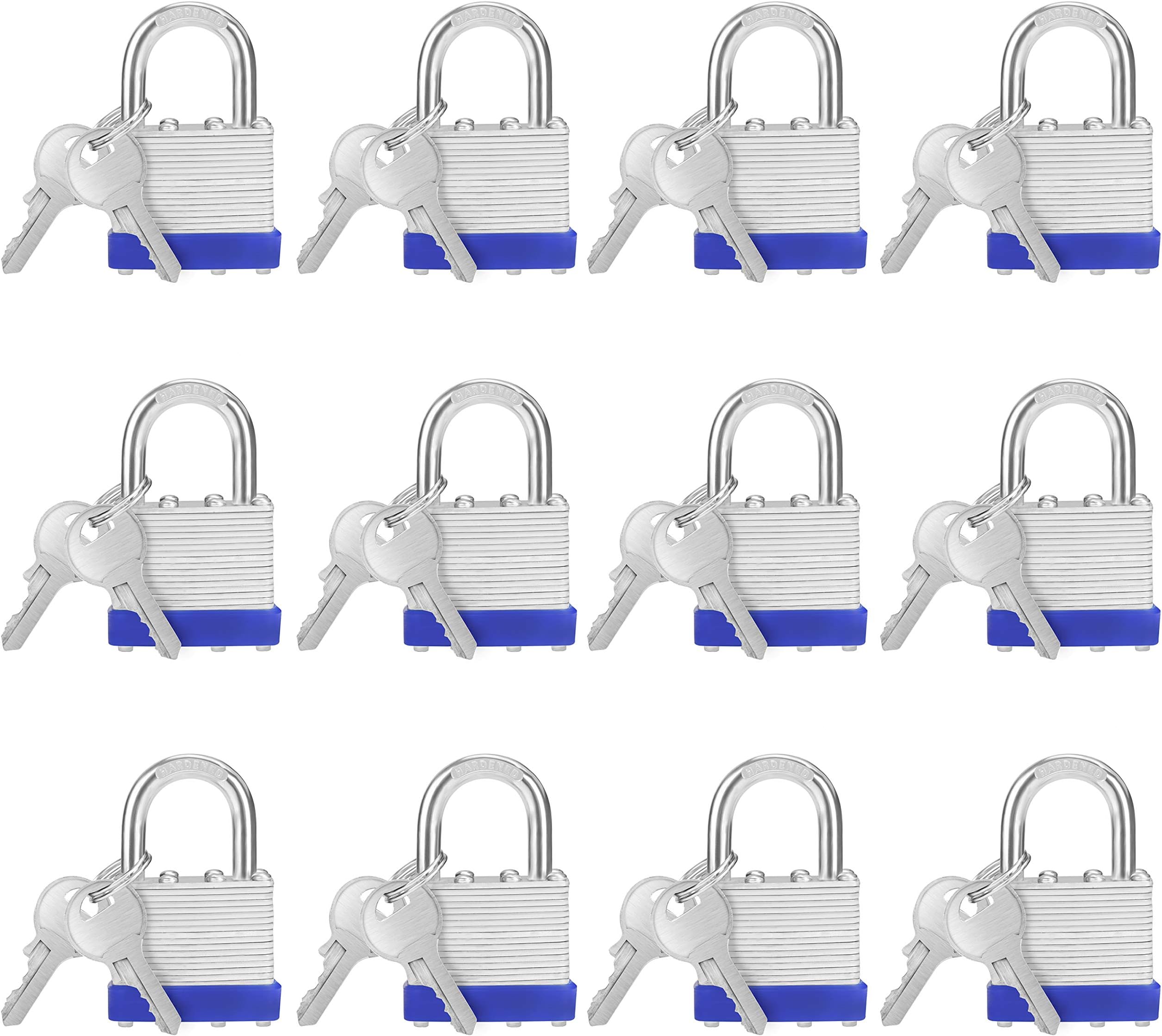 Lion Locks 12 Keyed Alike Padlocks with 2" Long Shackle, 24 Keys ...