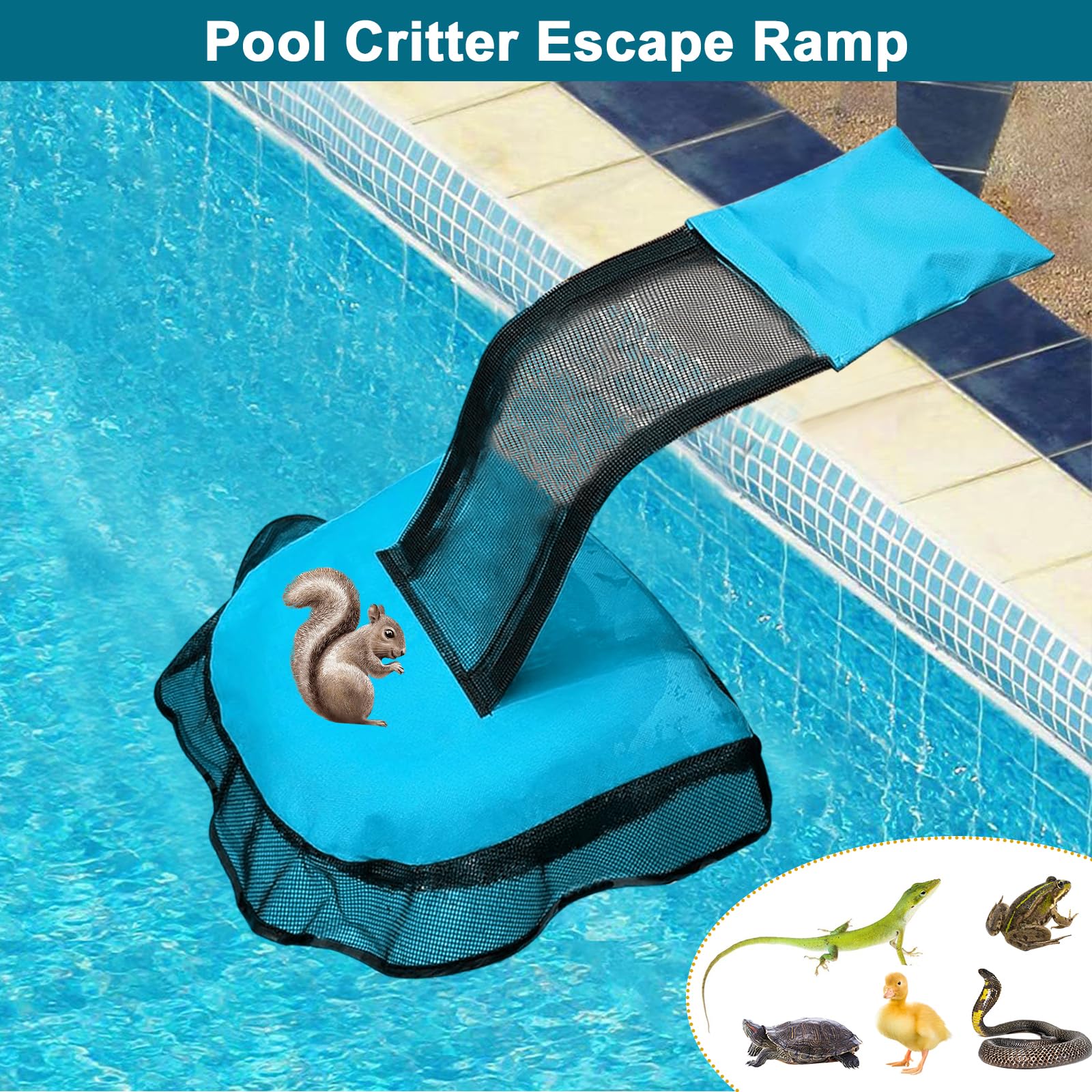 Snapklik.com : Uharbour Pool Animal Escape Ramp, Frog Saver For ...