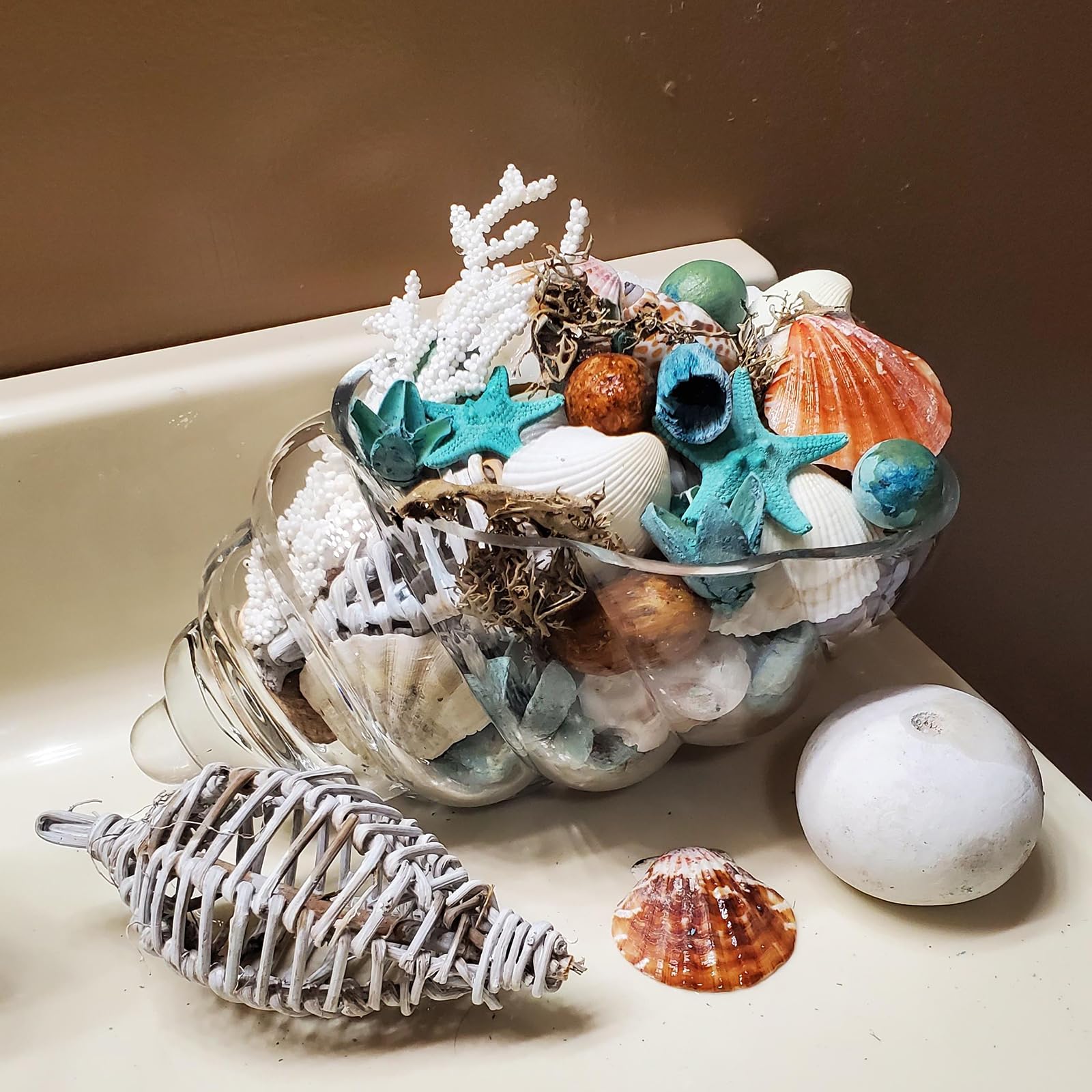 TOPZEA Glass Shell Vase, 11 Inch Clear Potpourri Holder Seashell ...