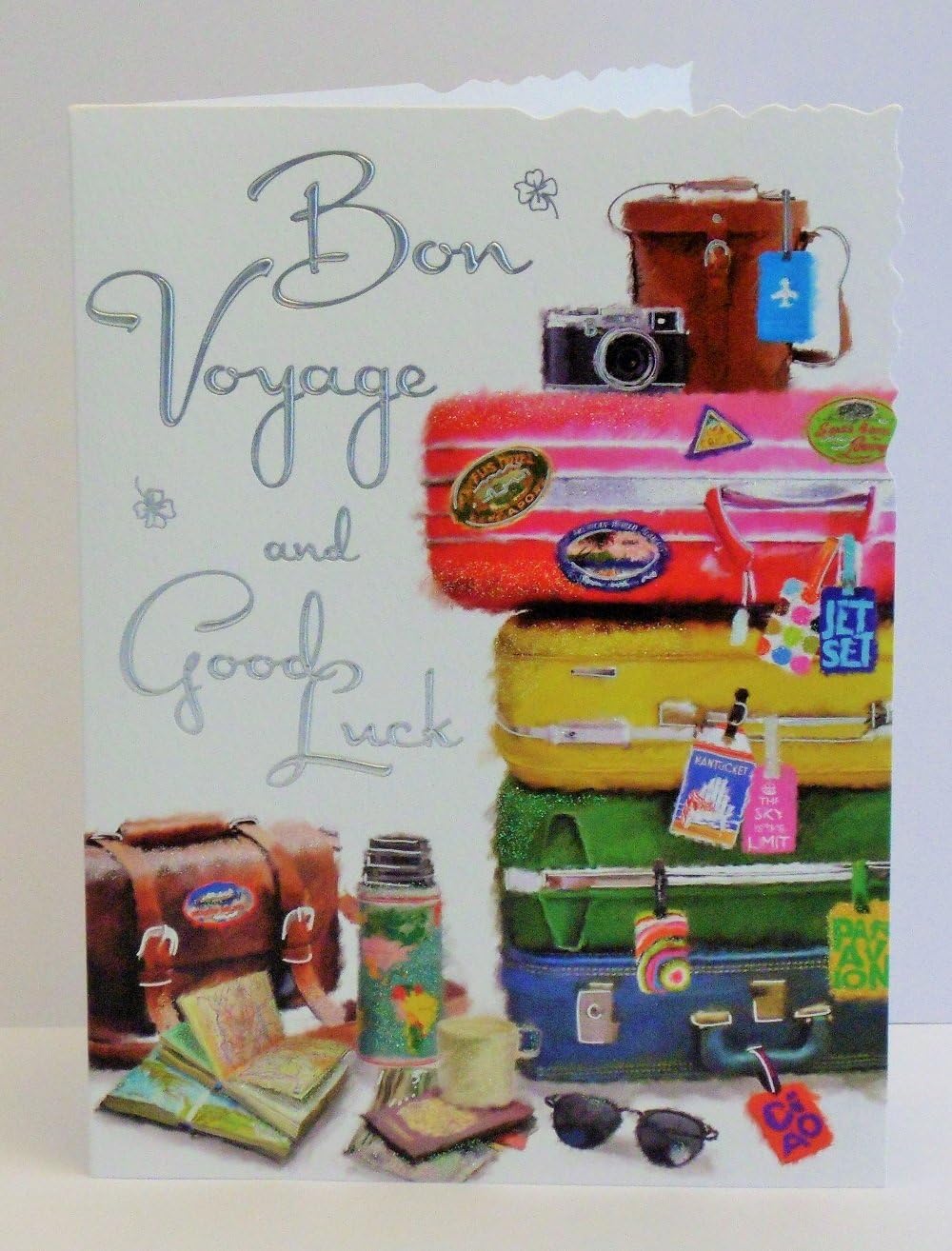 Funny Gap Year Traveling Card. We Will Miss You. Good Luck On Your ...