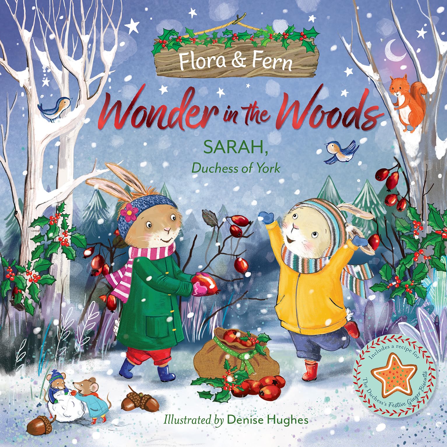 Flora & Fern: Wonder in the Woods: A brand new charming Christmas story ...