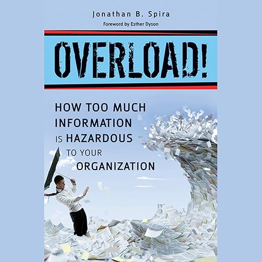 Overload!: How Too Much Information is Hazardous to Your Organization ...