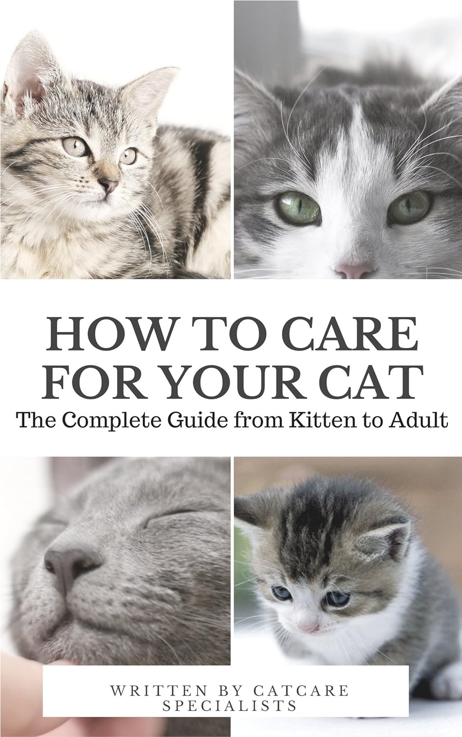 How to Care for Your Cat: The Complete Guide from Kitten to Adult: A ...