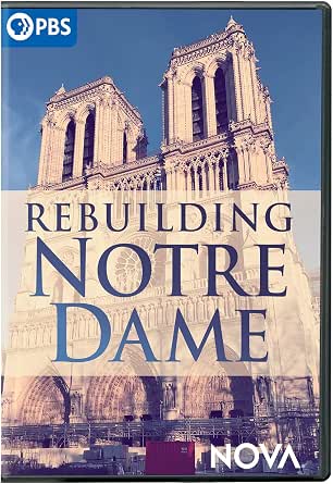 NOVA: Rebuilding Notre Dame DVD: Amazon.ca: Various: Movies & TV Shows