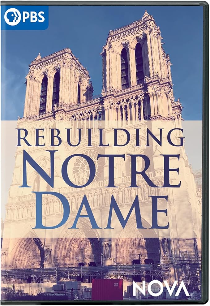NOVA: Rebuilding Notre Dame DVD: Amazon.ca: Various: Movies & TV Shows