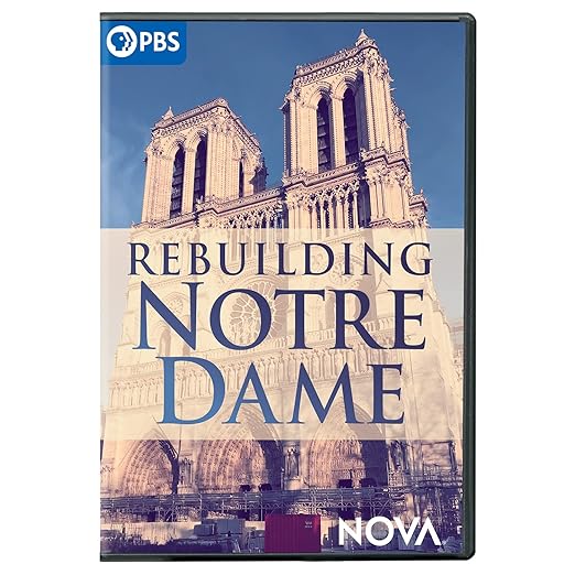 Amazon.com: NOVA: Rebuilding Notre Dame : n/a, Jody Lubman, Alessandra ...