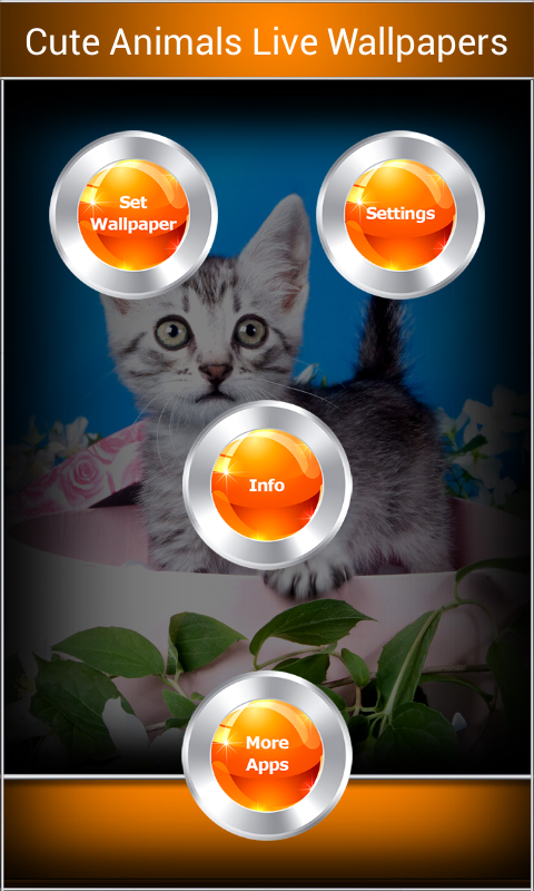 Cute Animals Live Wallpapers:Amazon.it:Appstore for Android