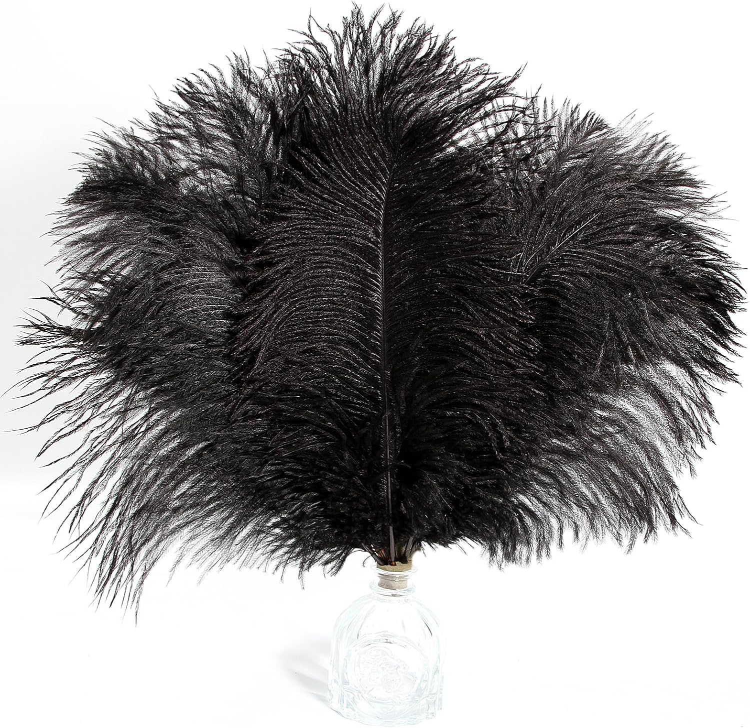 Amazon.com: Lamar Feather Natural Black Ostrich Feathers 20 Count 10-12 ...