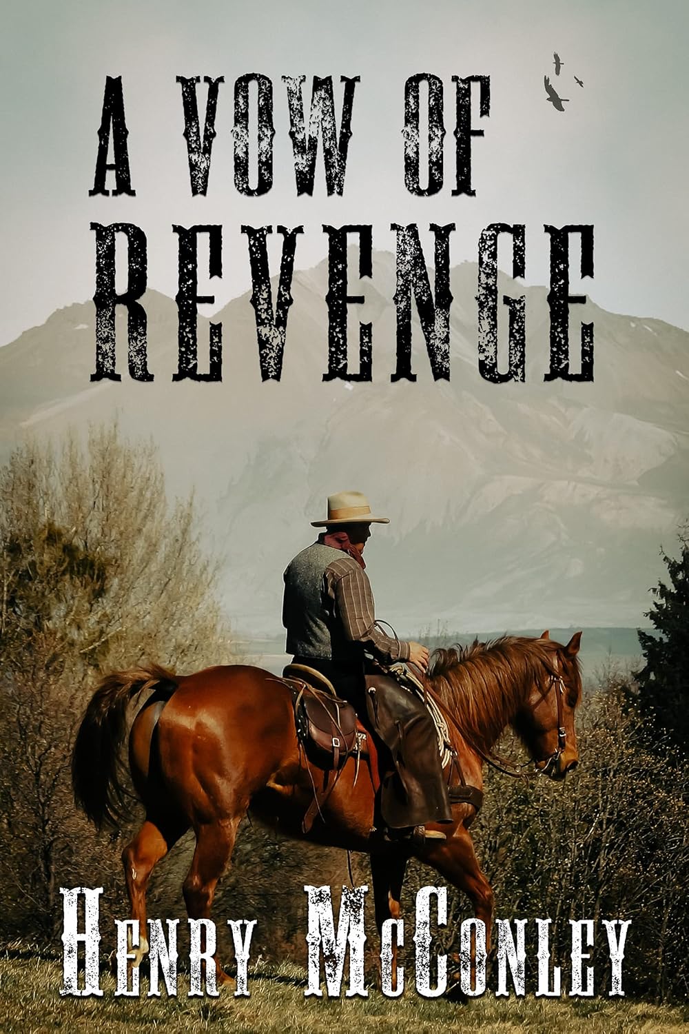 A Vow of Revenge: A Historical Western Adventure Novel (Heroes of the ...