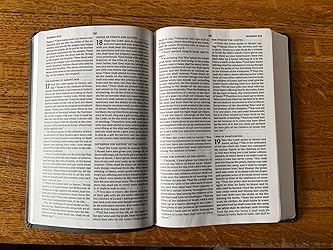 NKJV, Value Thinline Bible, Large Print, Leathersoft, Charcoal, Red ...
