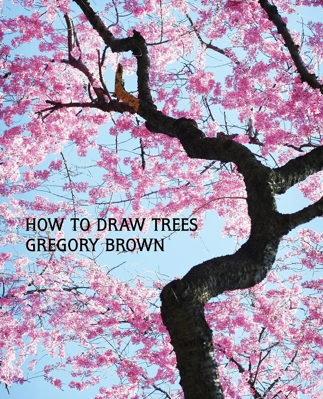 How to Draw Trees (Facsimile Reprint): Brown, Professor Gregory ...