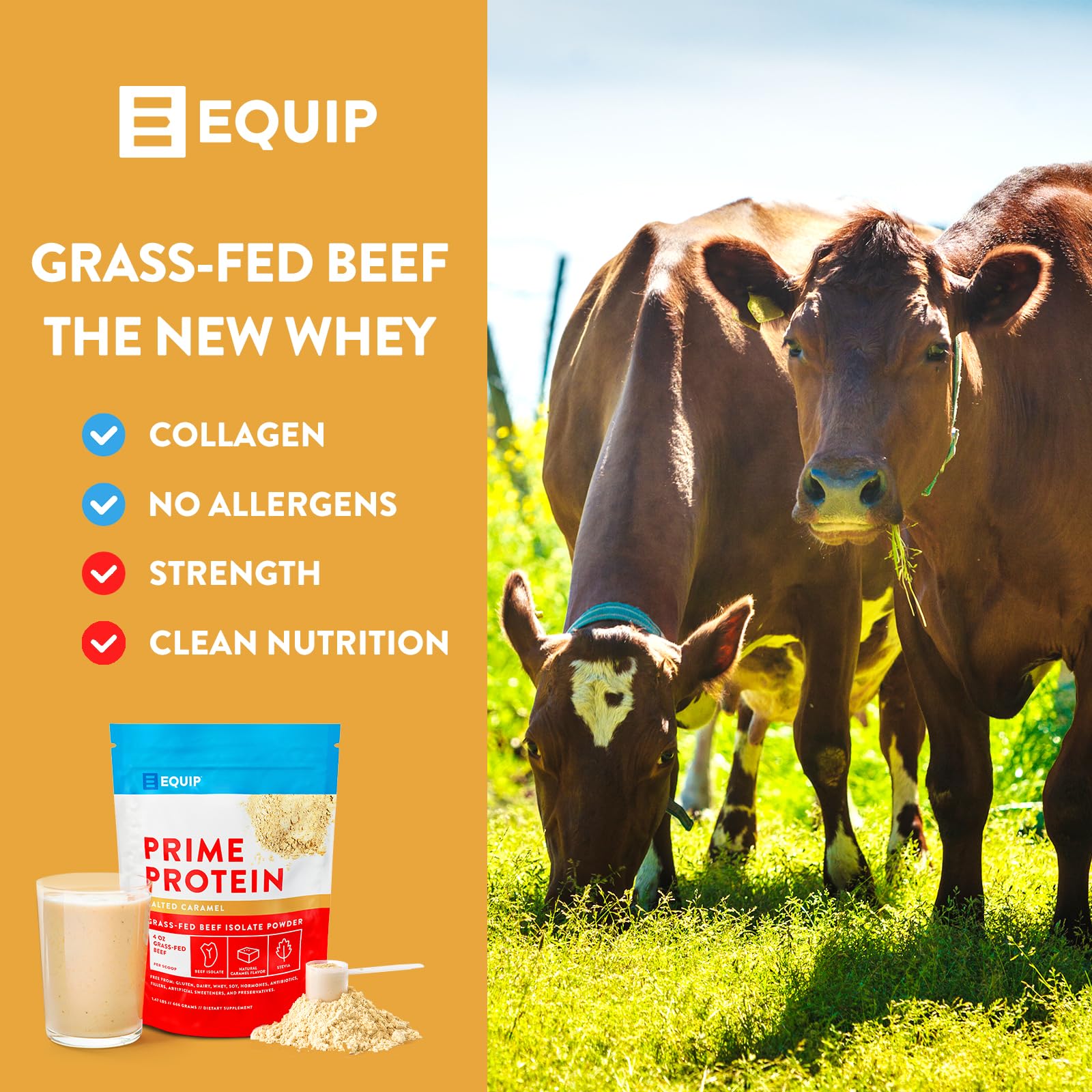 Snapklik.com : Equip Foods Protein - Grass Fed Beef Protein Powder ...