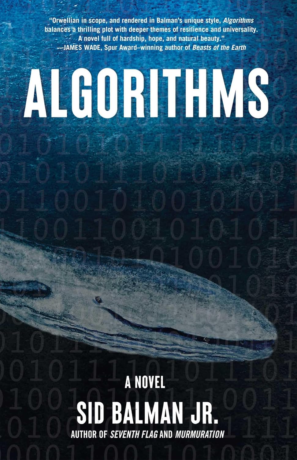 Algorithms: A Novel (Seventh Flag Trilogy) - Kindle edition by Balman ...