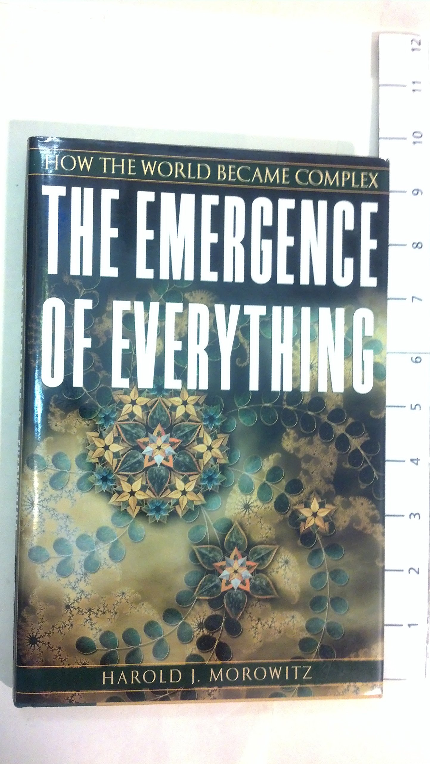 Amazon.com: The Emergence of Everything: How the World Became Complex ...